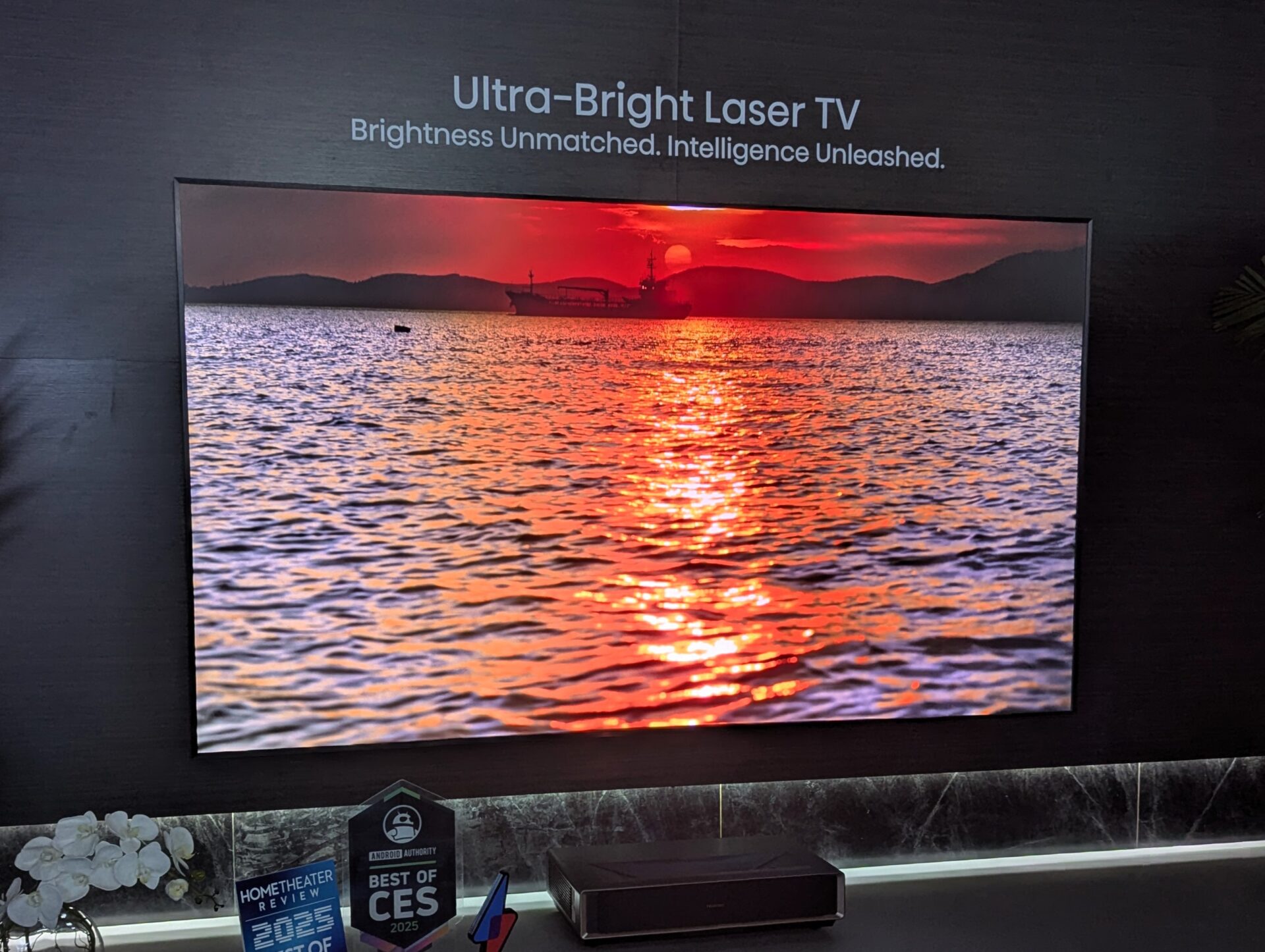 Display Tech 2025 - Entertain Our Eyes - AVNation TV